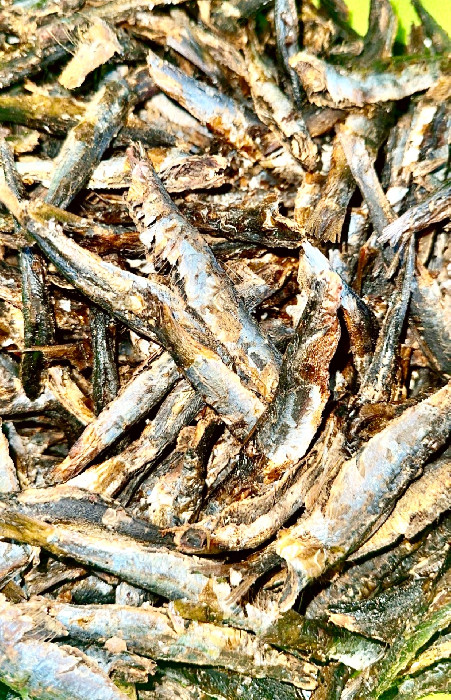 POISSON SEC VITCHI 100g :: EKIFA EXOTIQUE