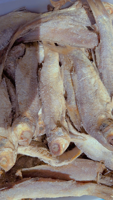 LANHOUIN ADJOVAN :: EKIFA EXOTIQUE